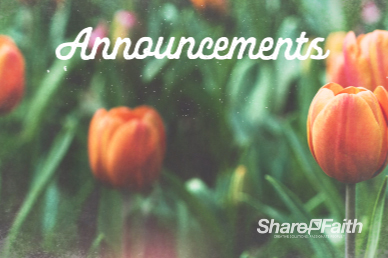 ShareFaith Media » Spring Forward Tulip Church Background Slide ...
