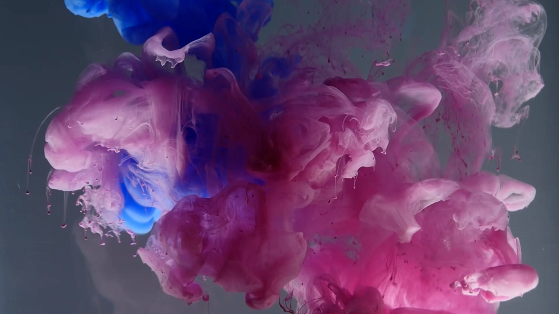 ShareFaith Media » Color Splash Worship Background 20 – ShareFaith Media