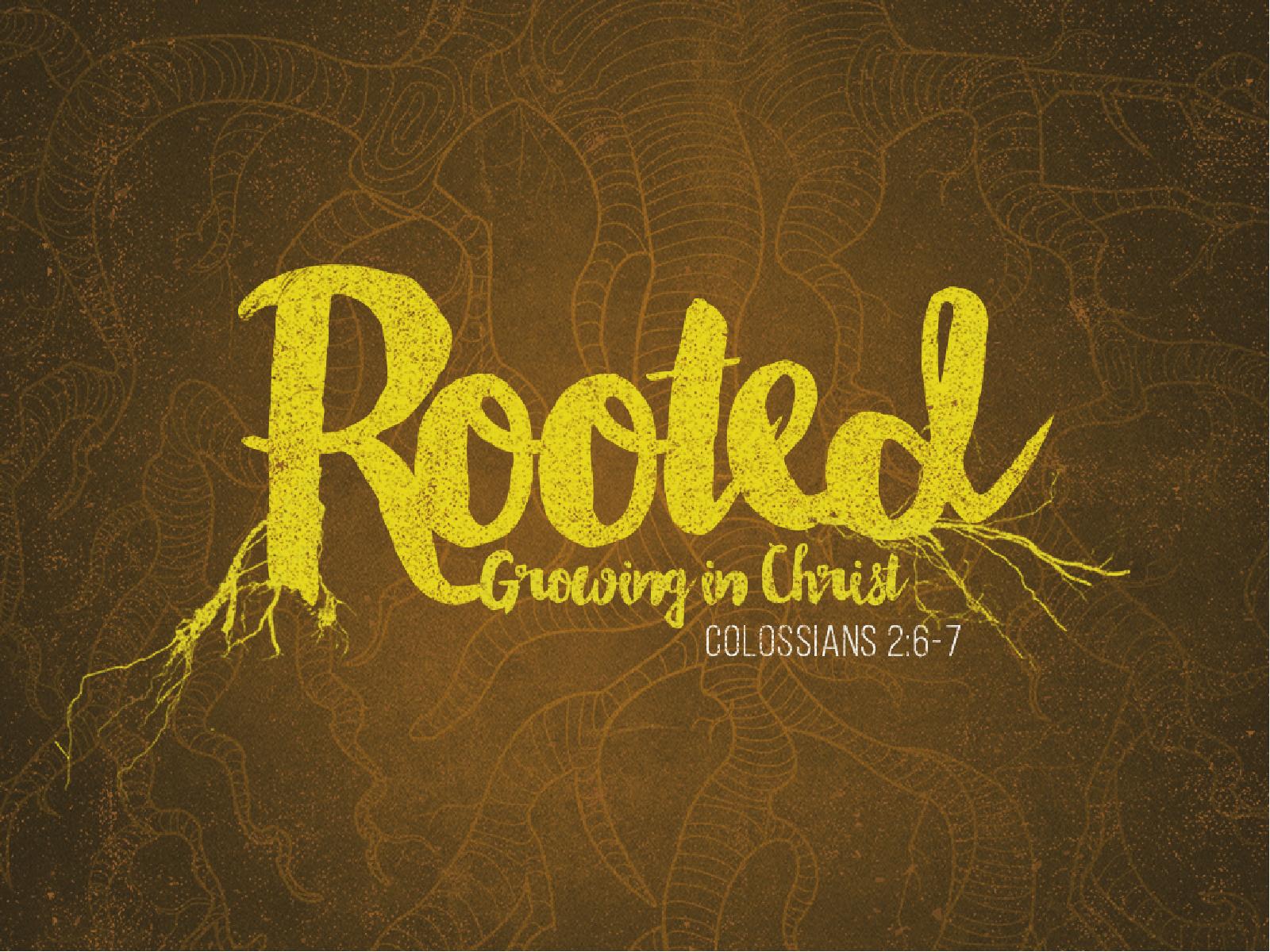 ShareFaith Media » all/rooted