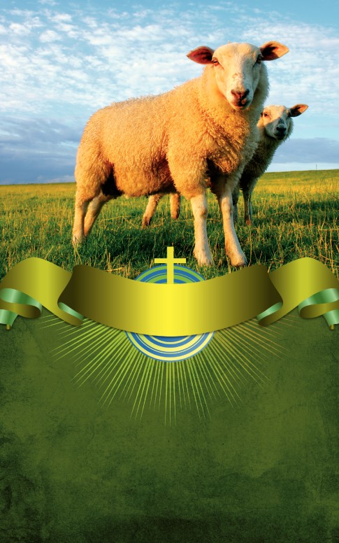ShareFaith Media » Sheep Bulletin Cover – ShareFaith Media