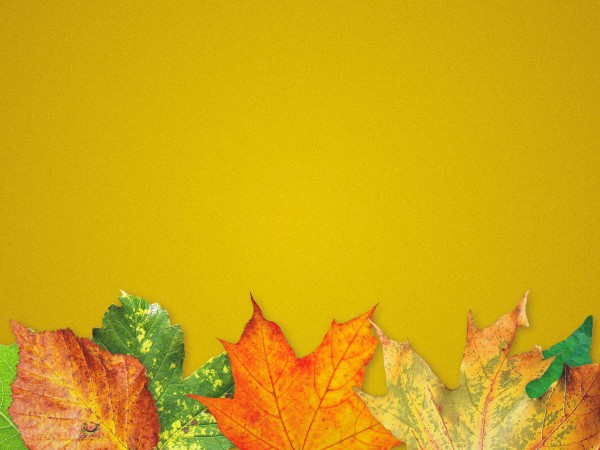 ShareFaith Media » Fall Back Autumn Leaves Worship Background ...