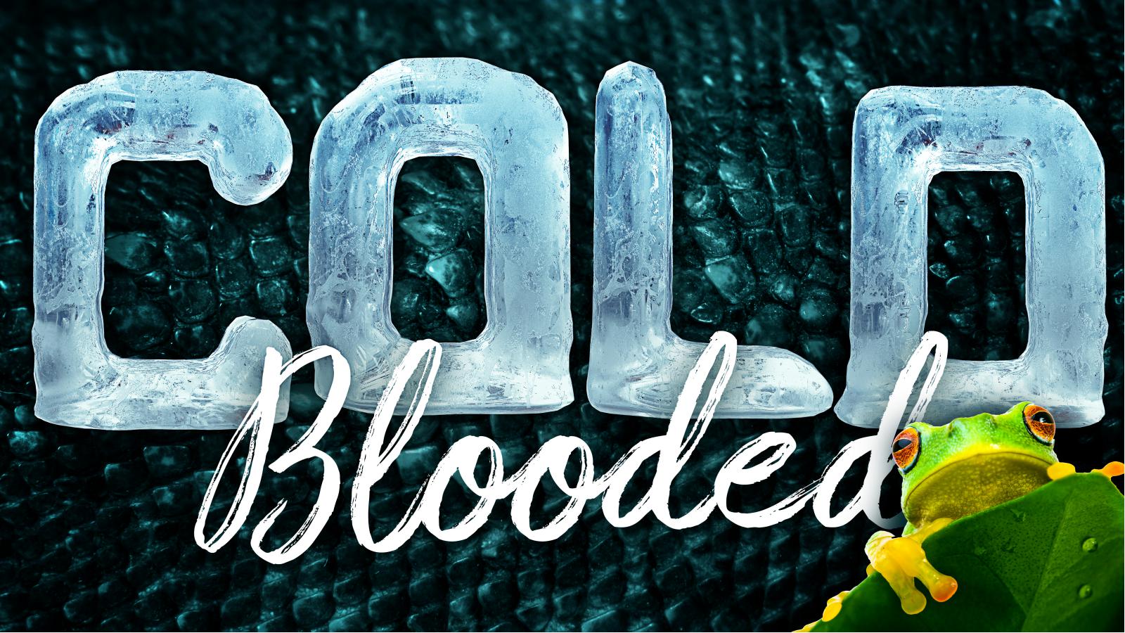 Church PowerPoint Games | ShareFaith Media