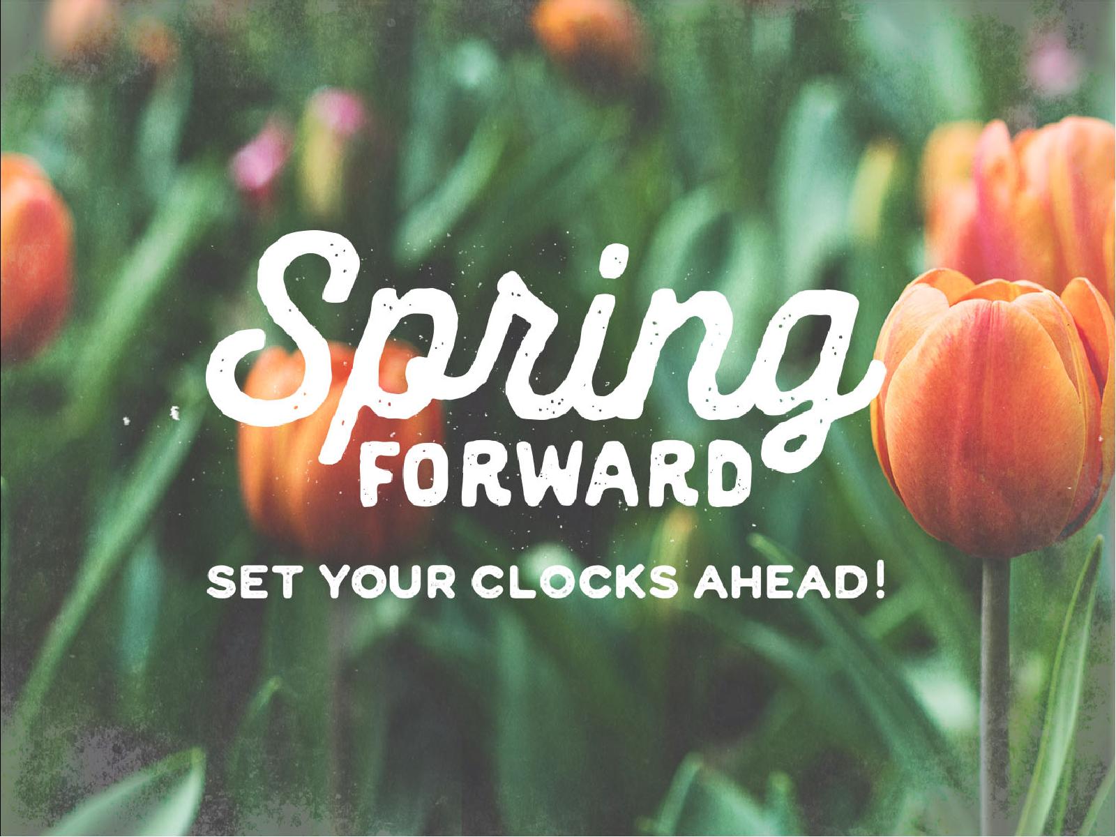 ShareFaith Media » Spring Forward Tulip Church PowerPoint – ShareFaith ...
