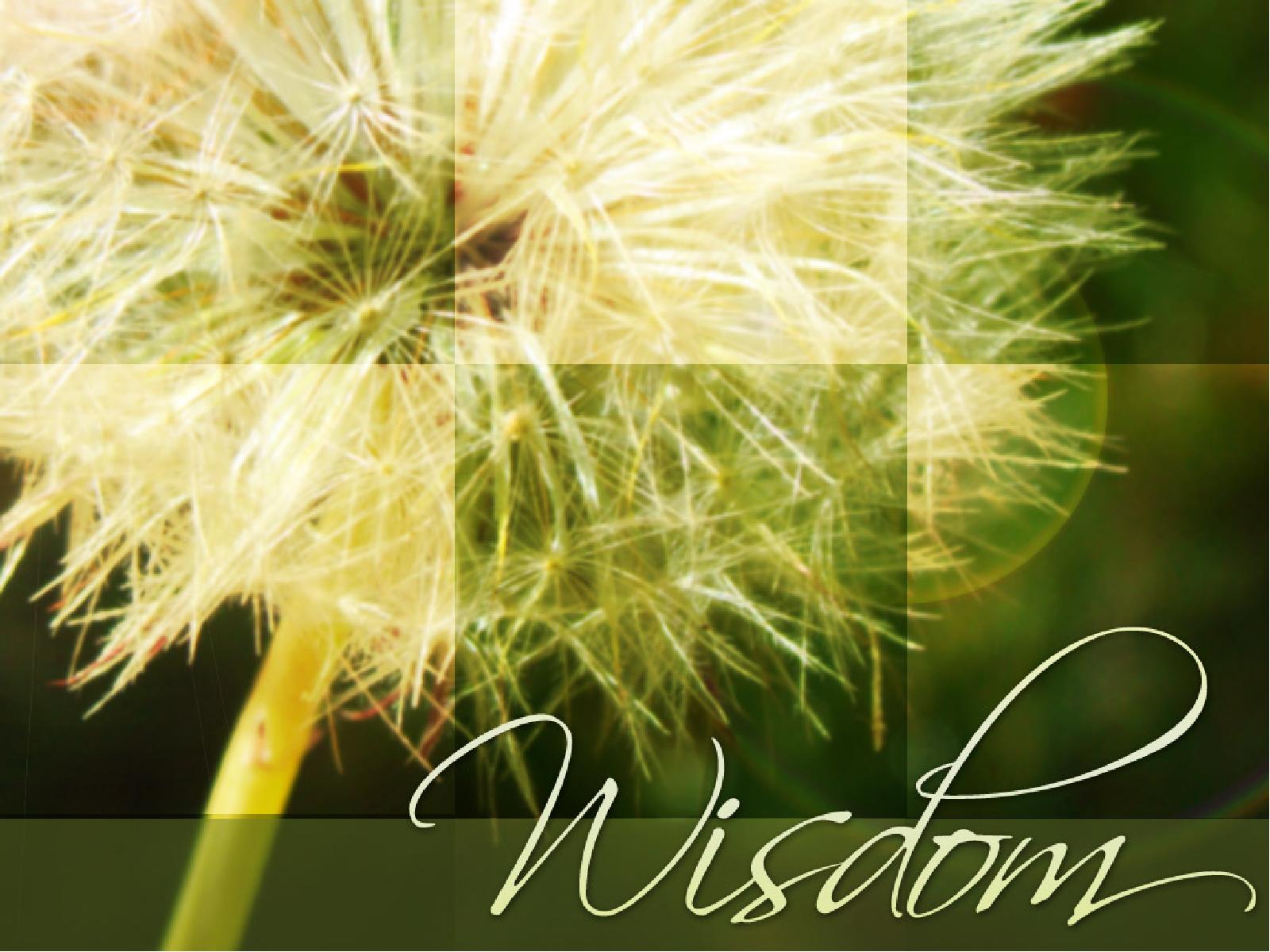 Church Title Graphics | Page 107 | ShareFaith Media