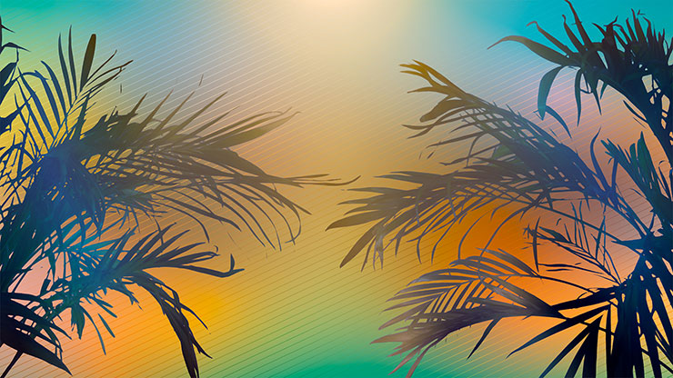 ShareFaith Media » Sun Palms Collection: 10 – ShareFaith Media