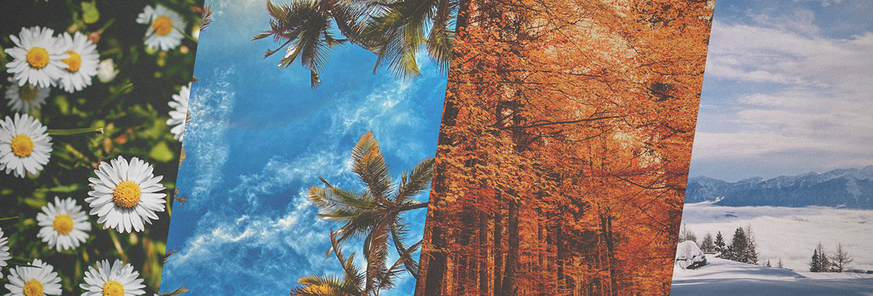 ShareFaith Media » For Every Season Collection: Bifold Bulletin Cover ...