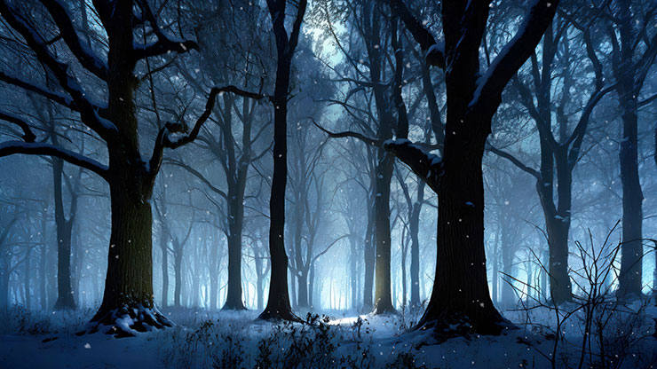 ShareFaith Media » Christmas Snow: 13 Motion – ShareFaith Media