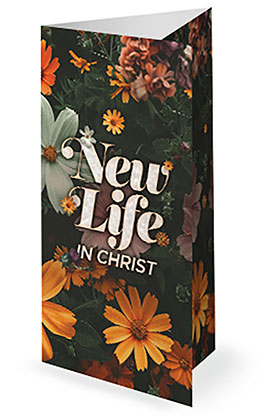 ShareFaith Media » New Life in Christ: Flyer – ShareFaith Media